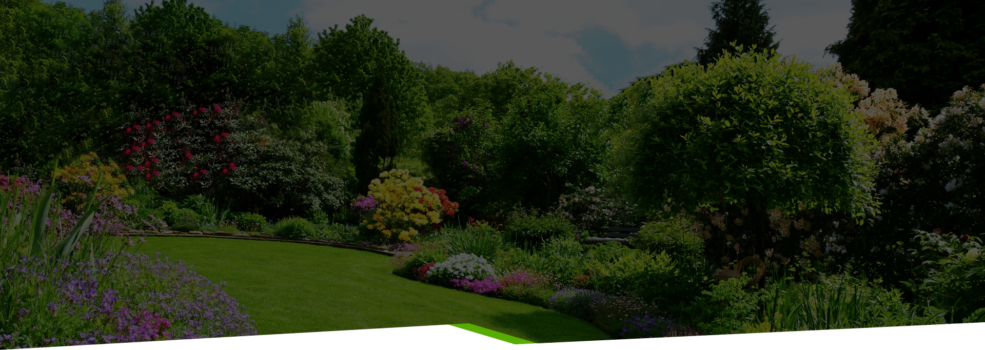 Plant Identification - Bradley Landscaping